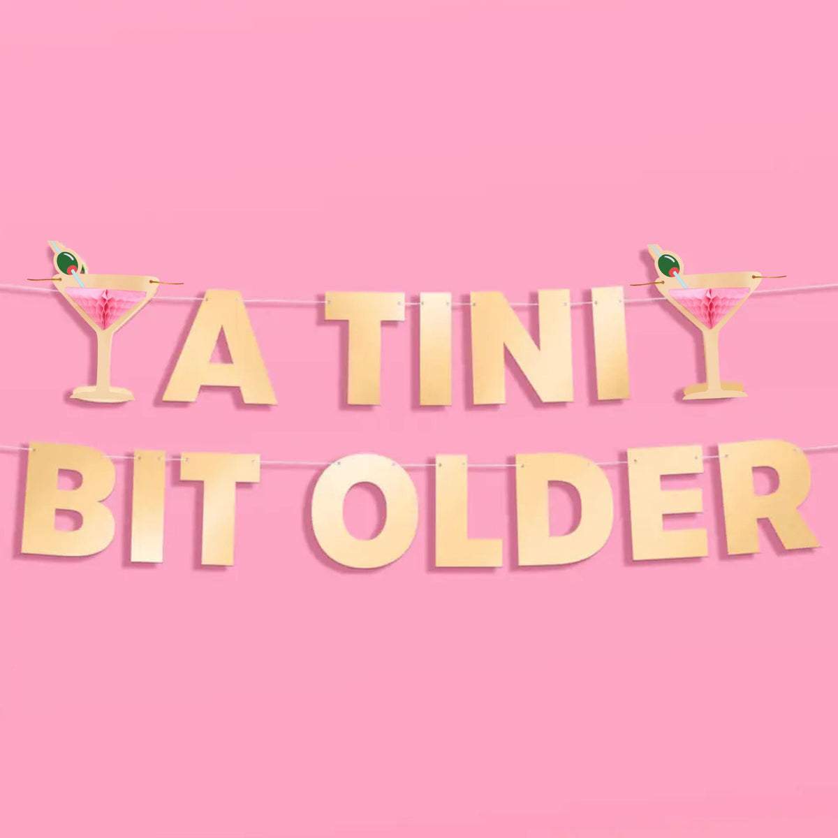A Tini Bit Older Birthday Banner | Pink Martini Honeycomb | partyHAUS
