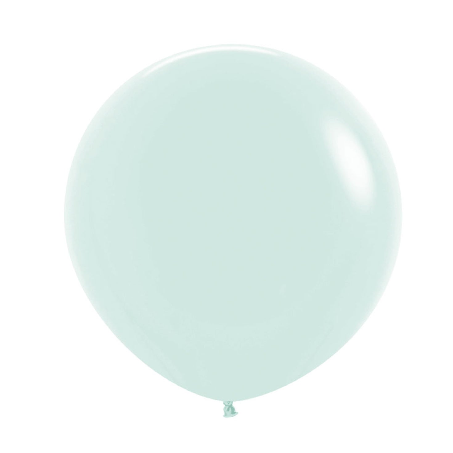 Matte Pastel Latex Balloons | partyHAUS