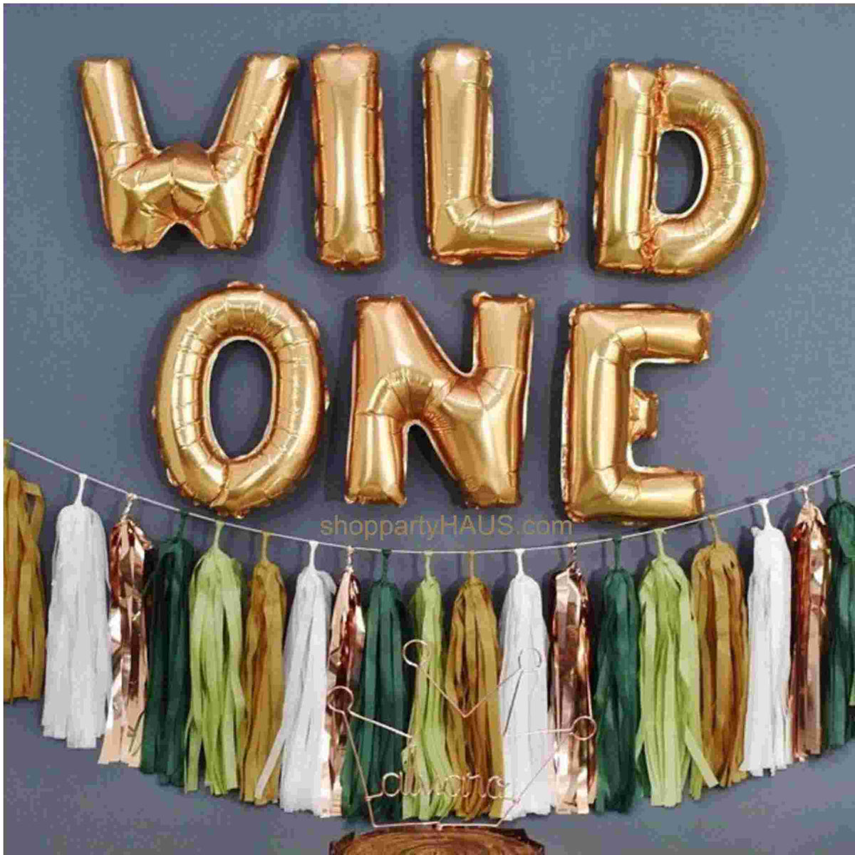 WILD ONE Party Balloons | partyHAUS