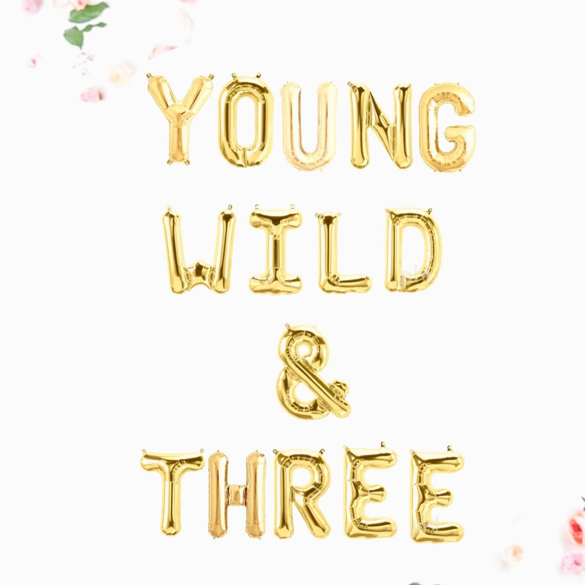 Young Wild and Three Birthday Party Decorations | partyHAUS
